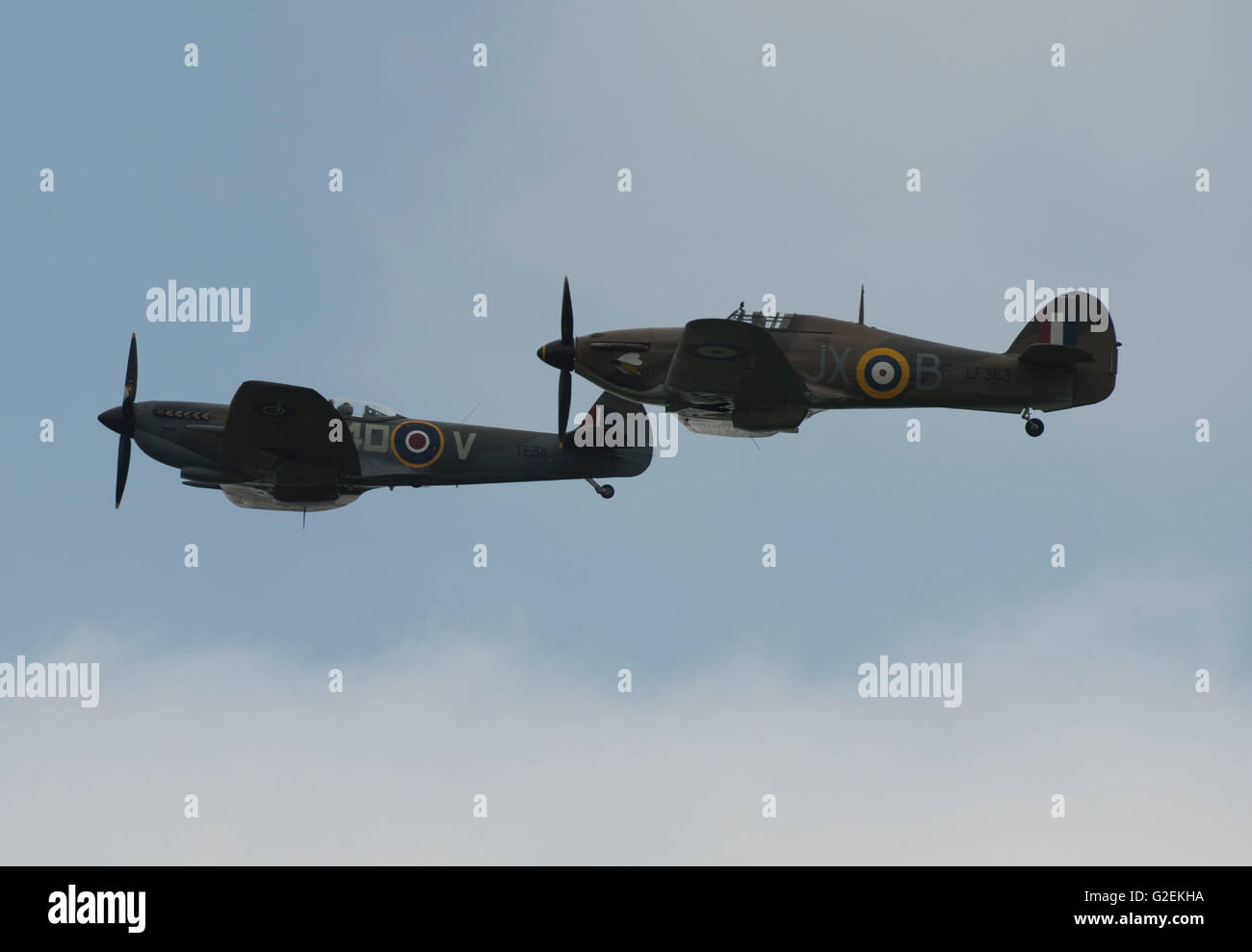 Clipped wing spitfire hi-res stock photography and images - Alamy