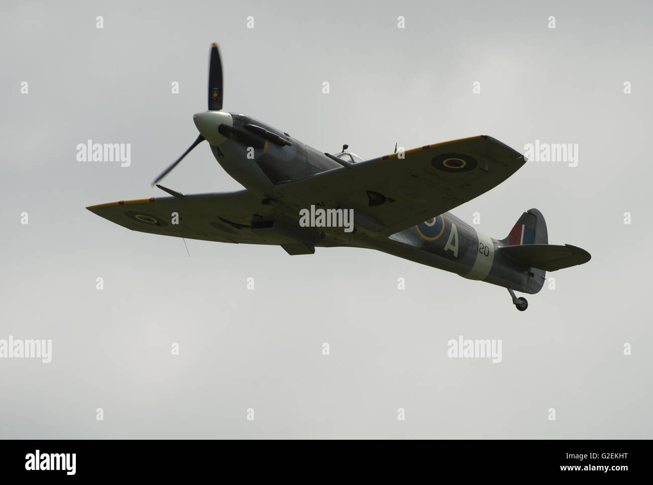 Clipped wing spitfire hi-res stock photography and images - Alamy