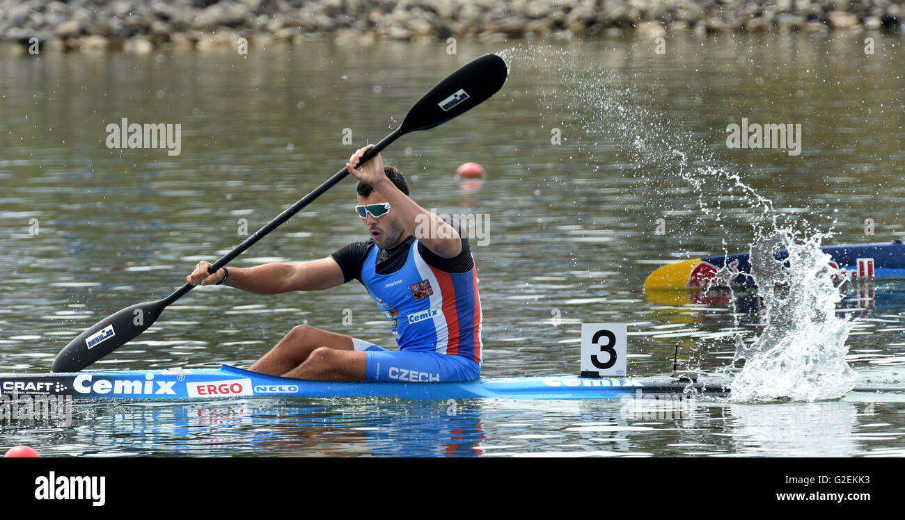 Czech kayaker Josef Dostal (pictured) won a one-kilometre race at the ...