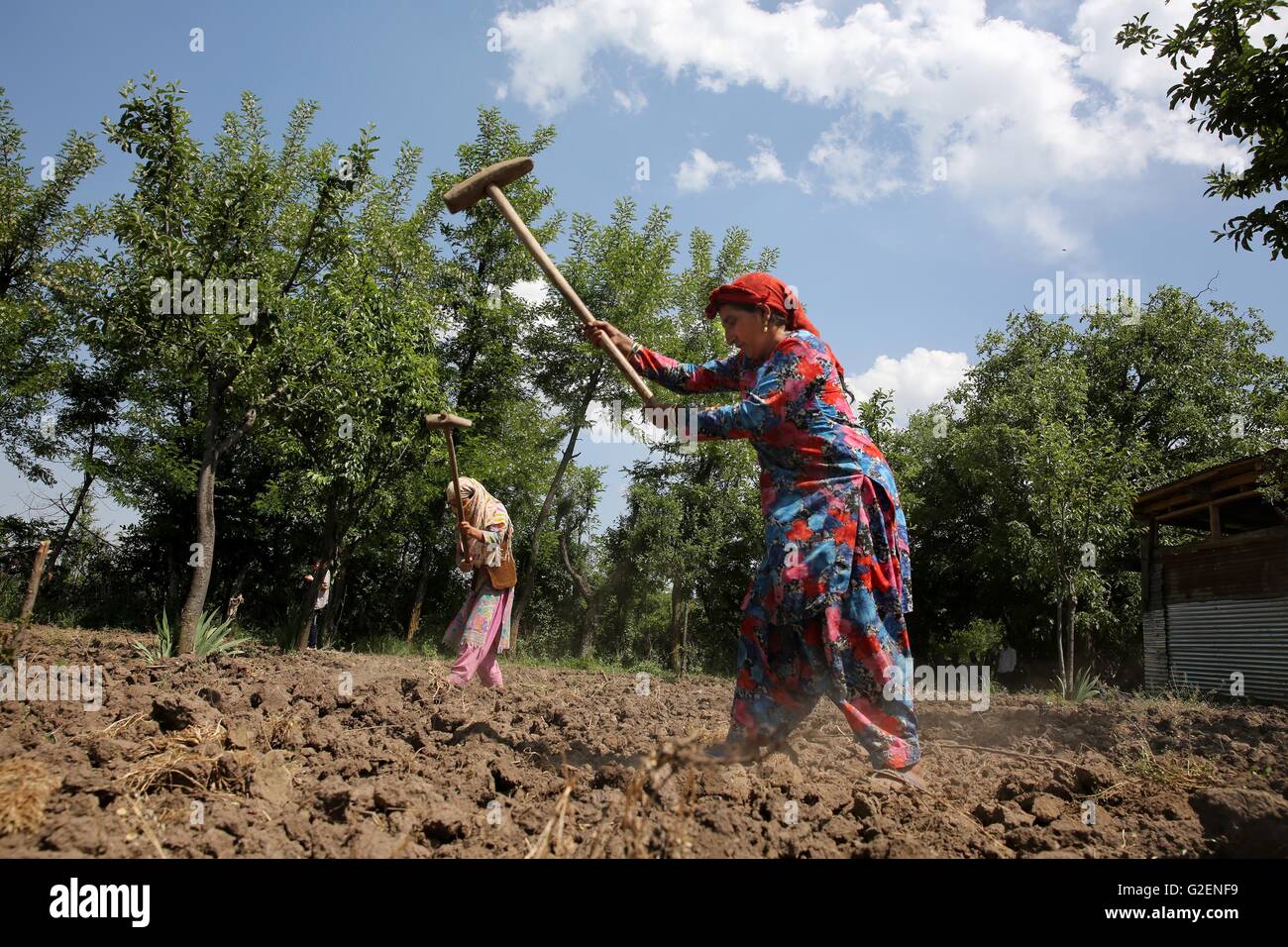 Budgam Stock Photos & Budgam Stock Images - Alamy