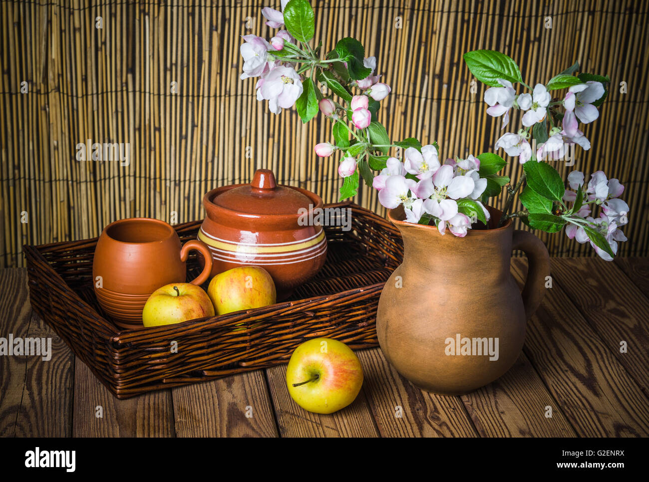 Ripe apple and blossoming branch of an apple-tree in a clay jar, close ...