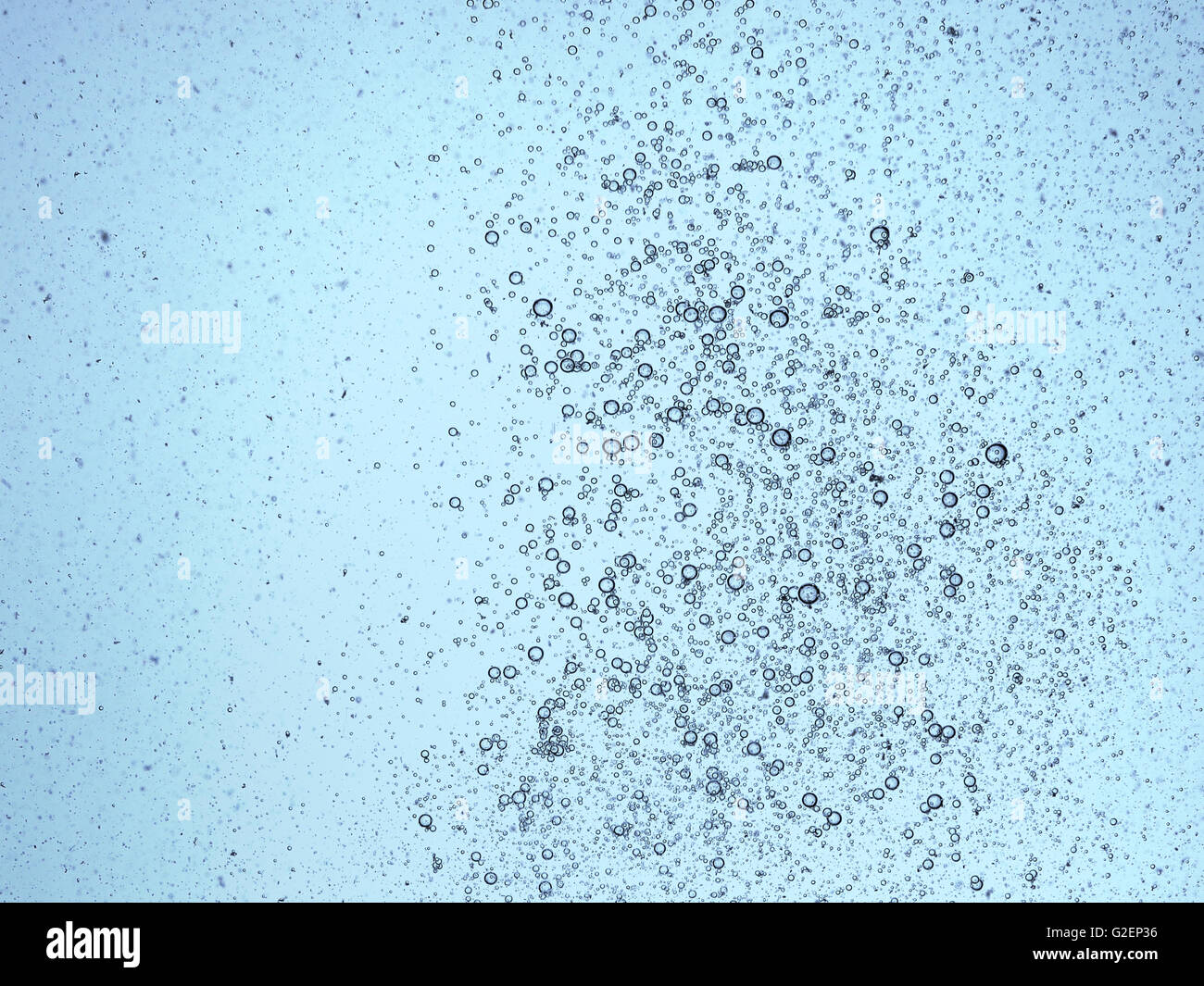 Bubbles in blue liquid Stock Photo - Alamy