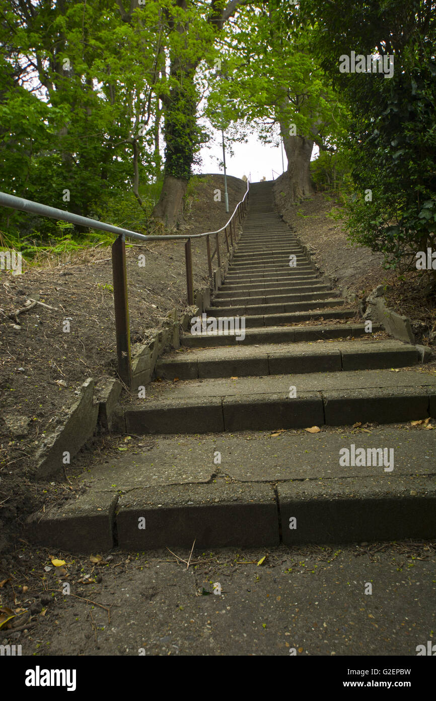 Long flight of steps in park Stock Photo - Alamy