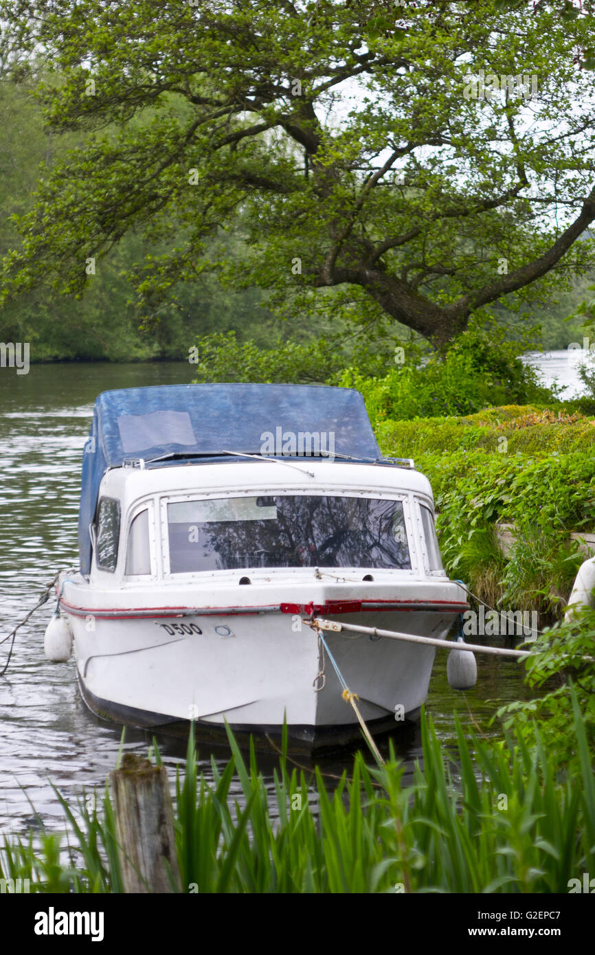 Small boat tide up moored on river Stock Photo - Alamy