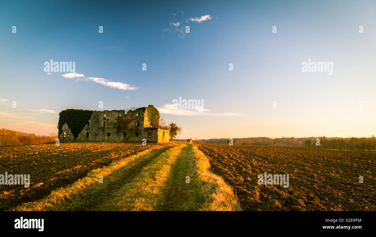 an abandoned and ruined farm in the fields of Italy Stock Photo - Alamy