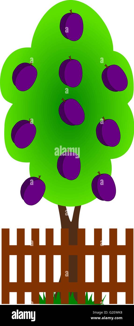 plum tree, vector,plum tree and fence Stock Vector Image & Art - Alamy