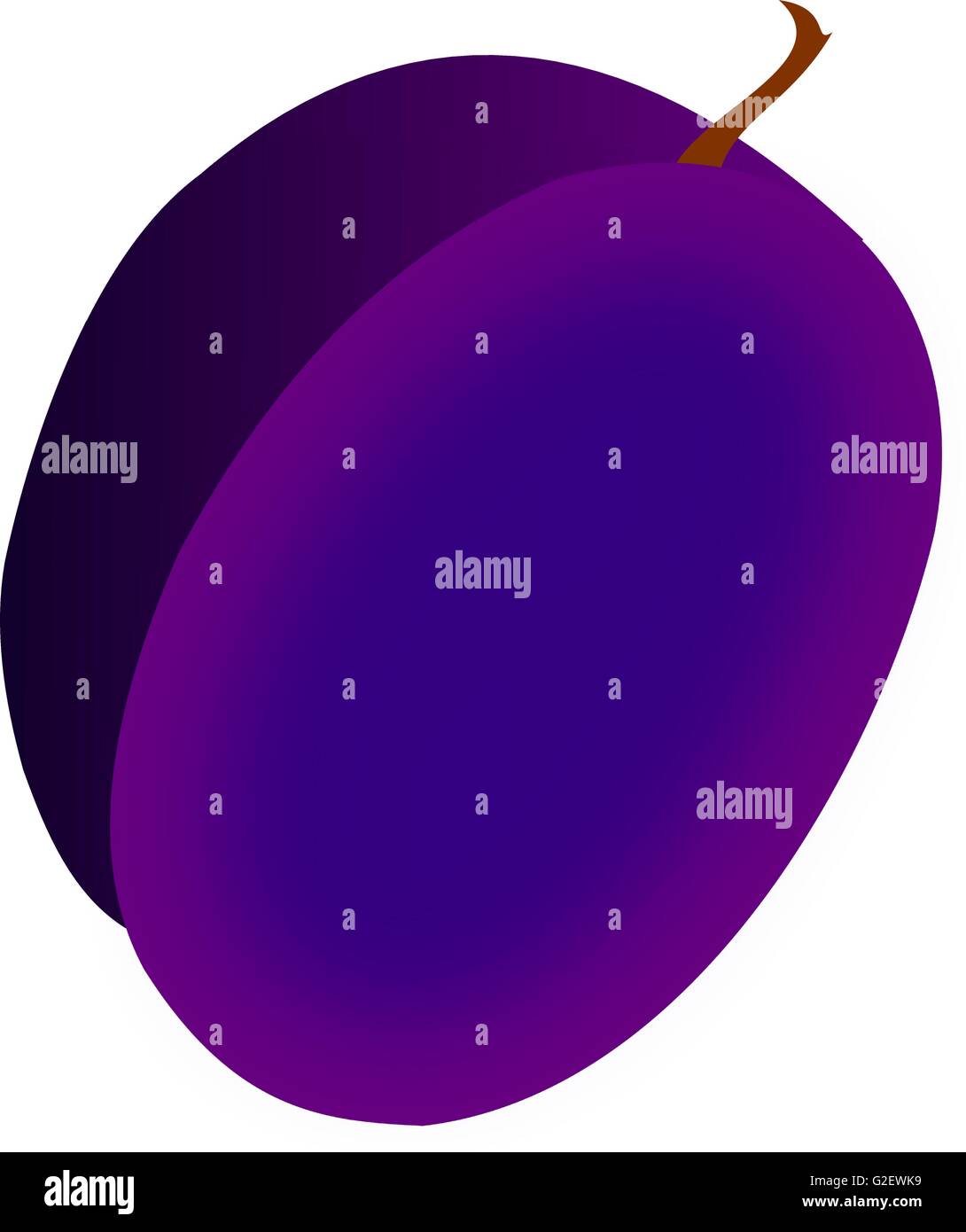 plum, damson, sloe,Plums blue fruit illustration vector Stock Vector ...