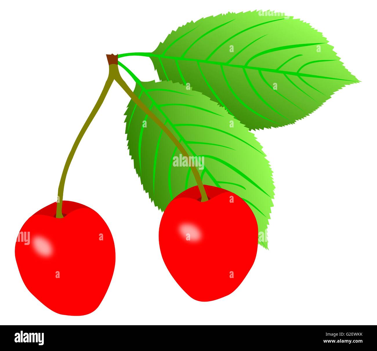 Cherry unusual Stock Vector Images - Alamy
