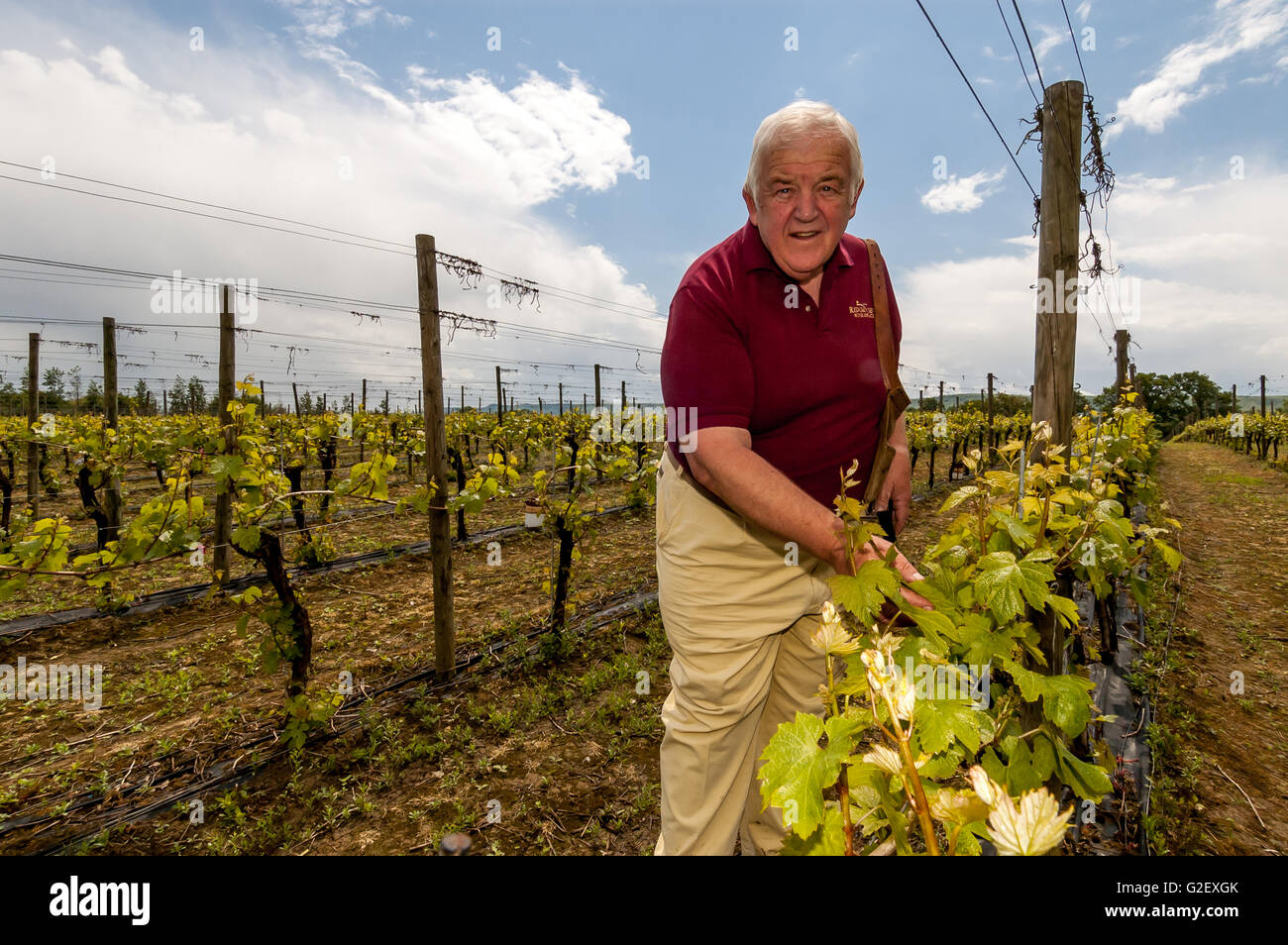 Mike roberts hi-res stock photography and images - Alamy