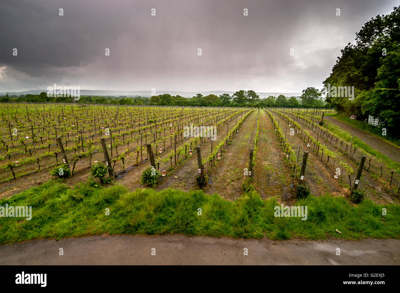 Ditchling Common East Sussex High Resolution Stock Photography and ...