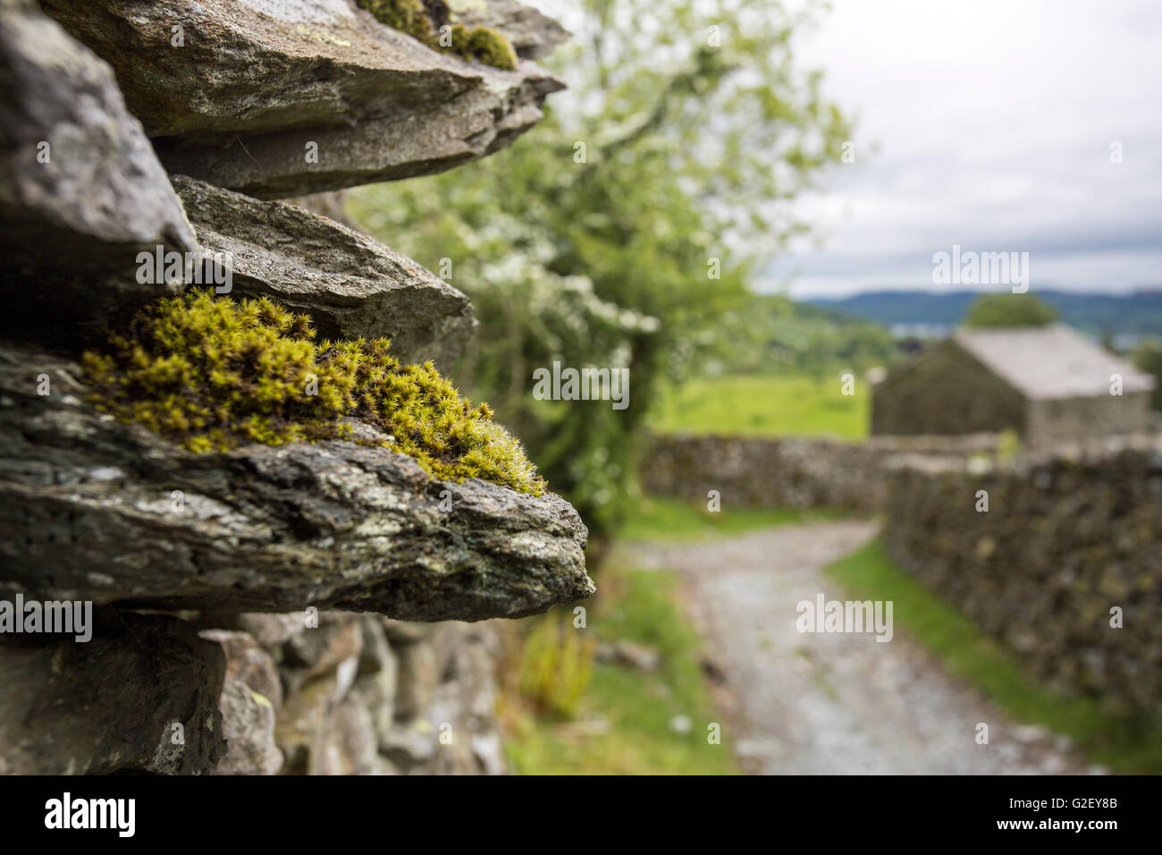 Field barn stone wall hi-res stock photography and images - Alamy