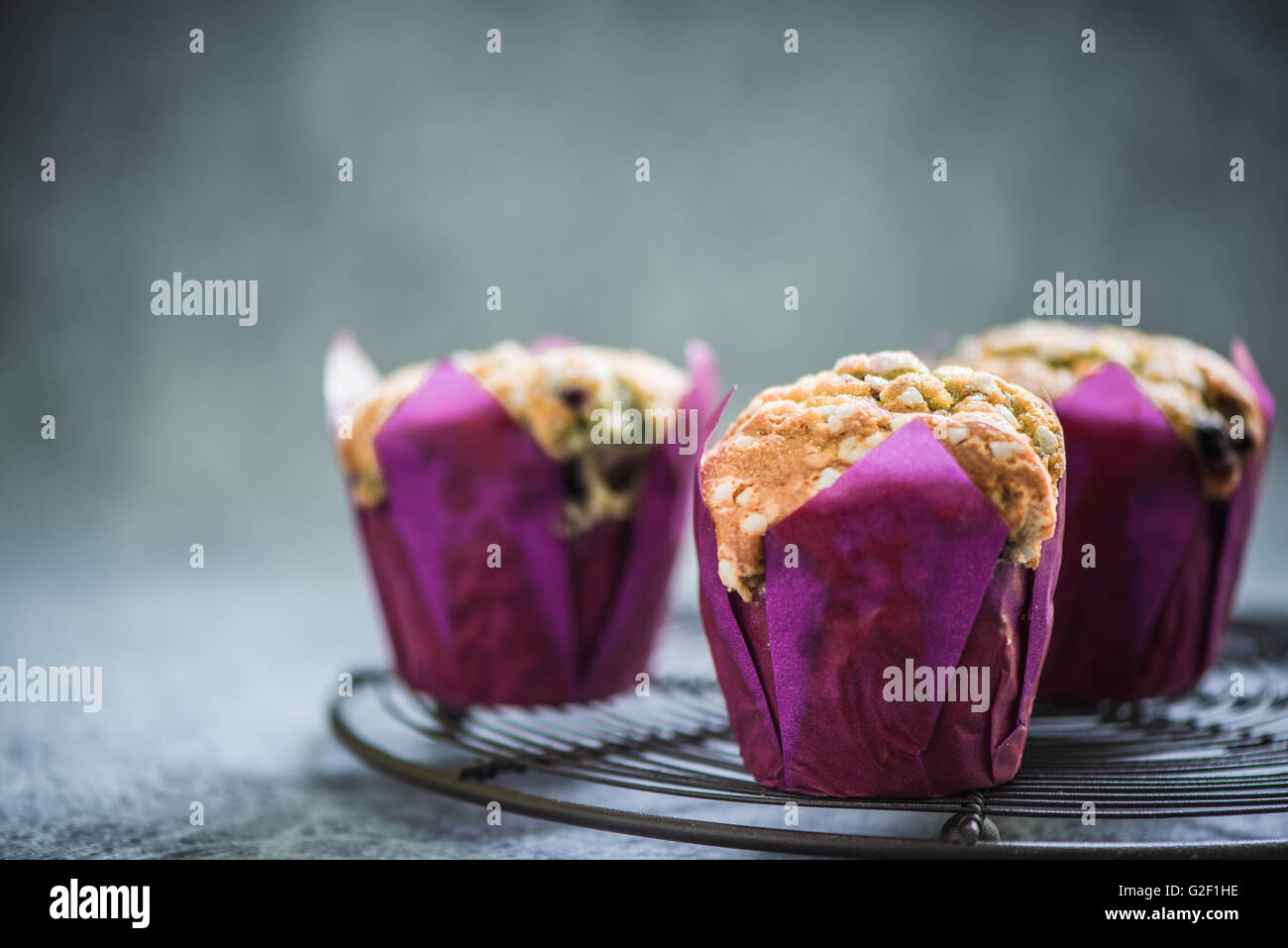 homemade blueberry muffin on cooling tray Stock Photo - Alamy