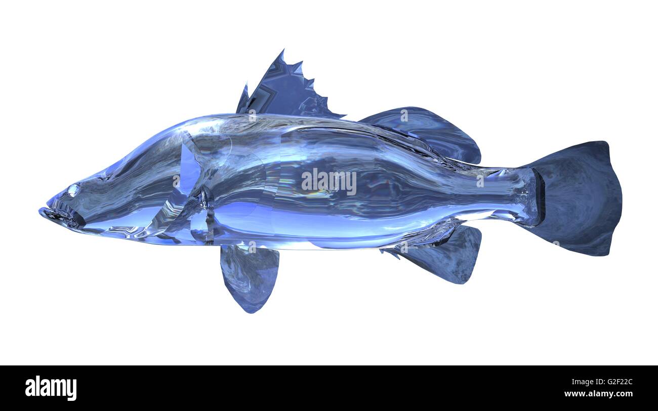 Glass fish isolated on white background Stock Photo - Alamy