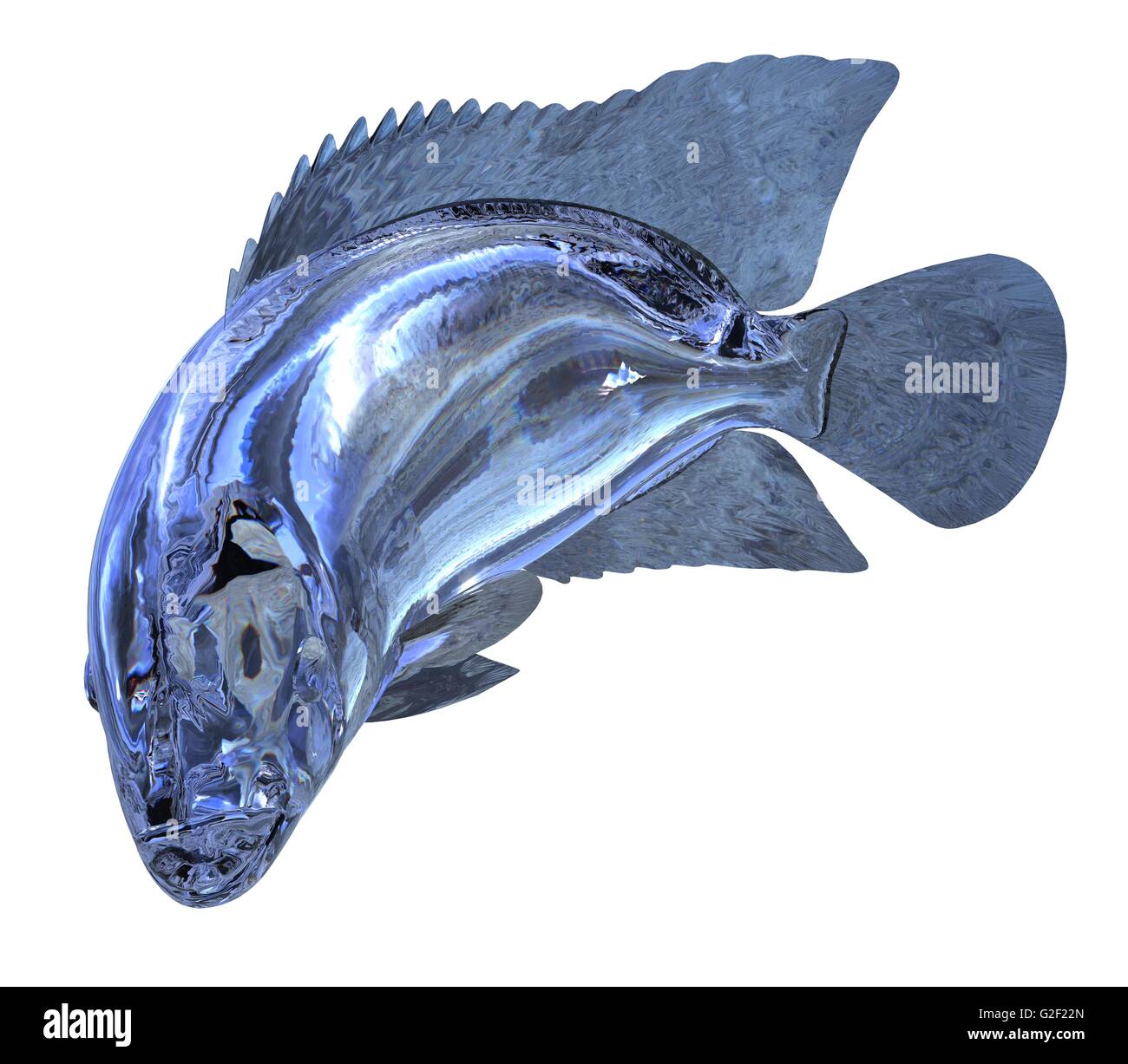 Glass fish isolated on white background Stock Photo - Alamy