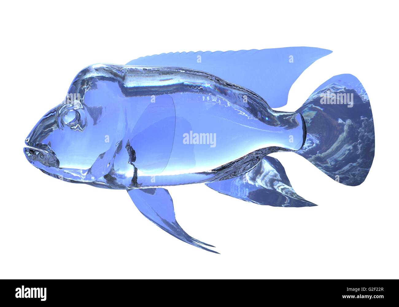 Glass fish isolated on white background Stock Photo - Alamy