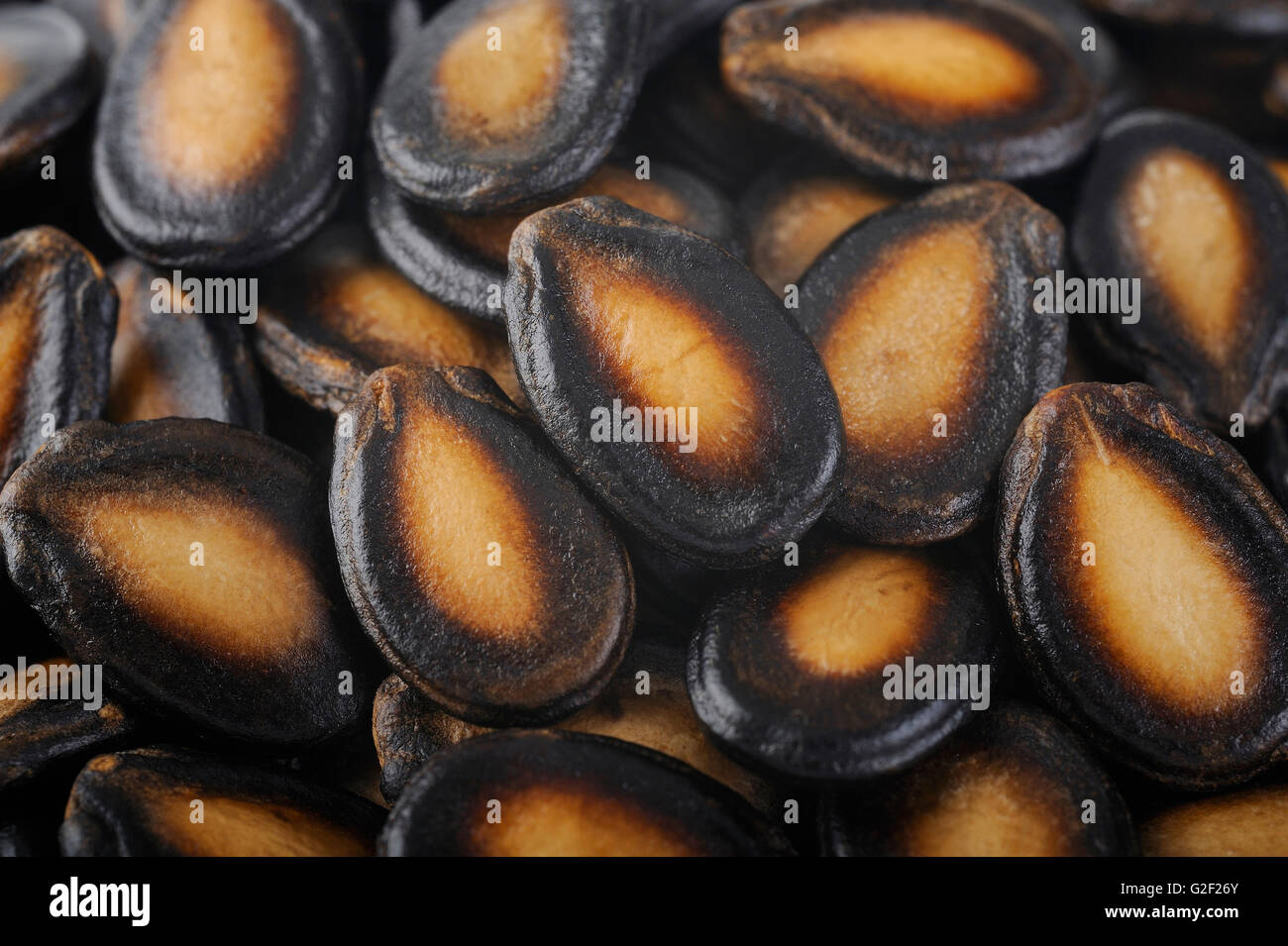 Watermelon seeds hi-res stock photography and images - Alamy