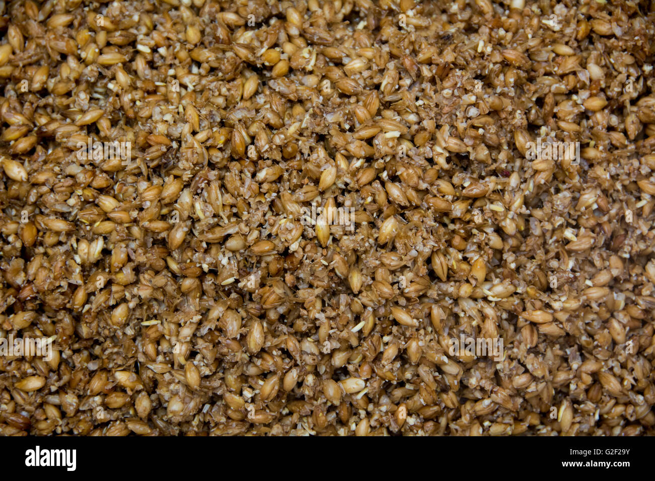 Mashing grain hi-res stock photography and images - Alamy