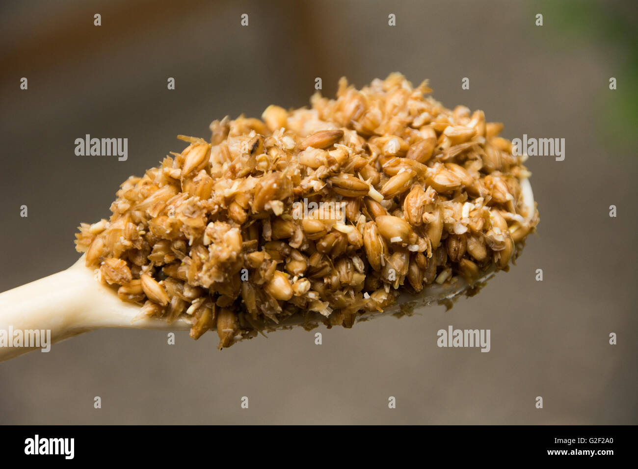 Mashing hi-res stock photography and images - Alamy
