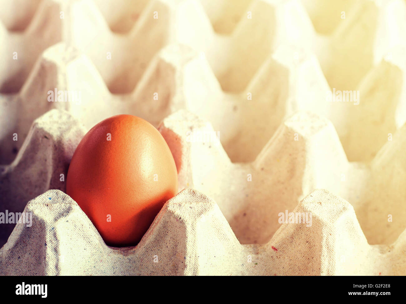 One egg was placed inside the tray Stock Photo - Alamy
