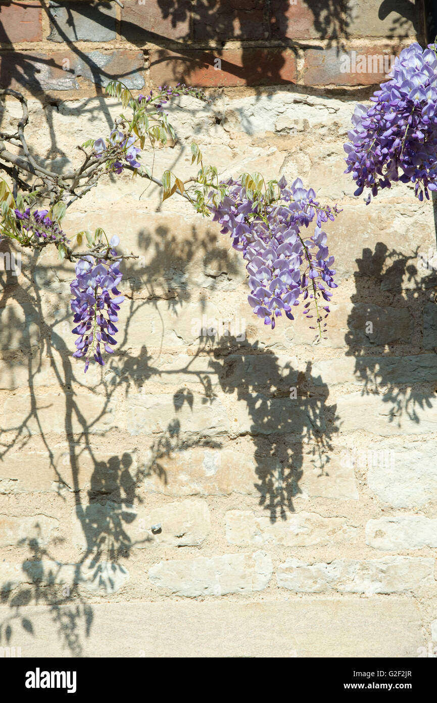 Sunlight and shadow on stone wall hi-res stock photography and images ...