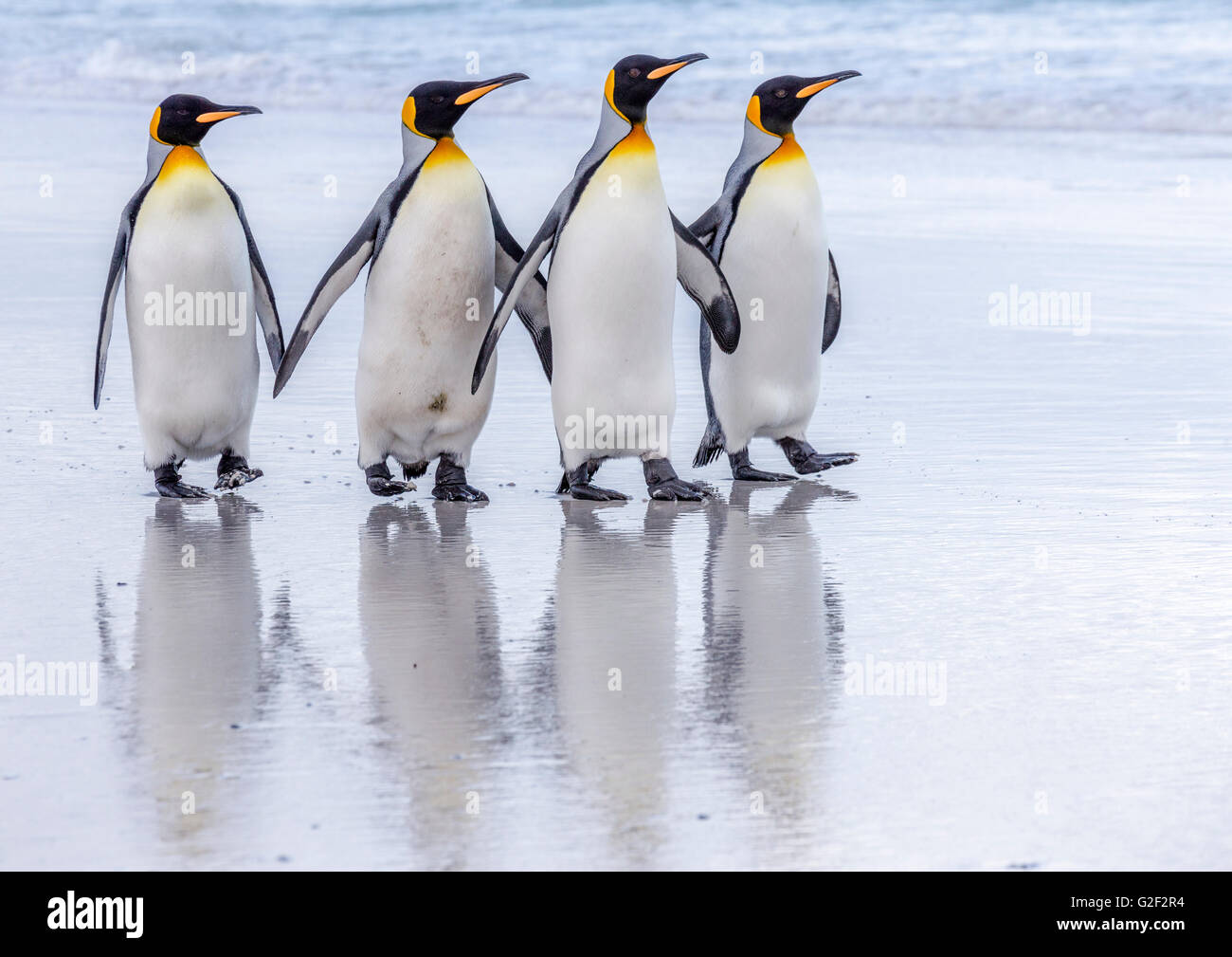 Hands formation hi-res stock photography and images - Alamy