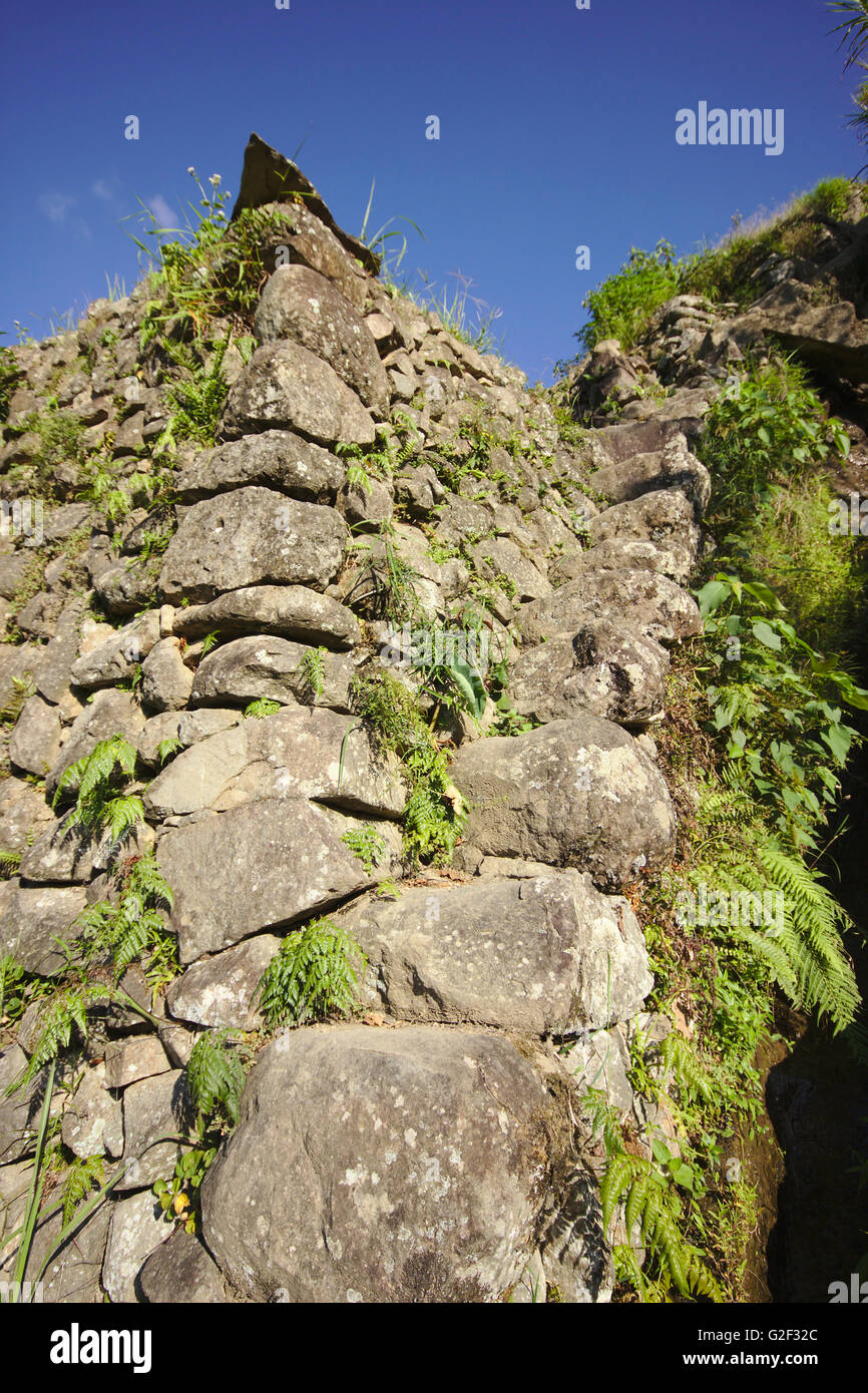 Stairs and walls of the Ifugao rice terraces in Batad, northern Luzon ...