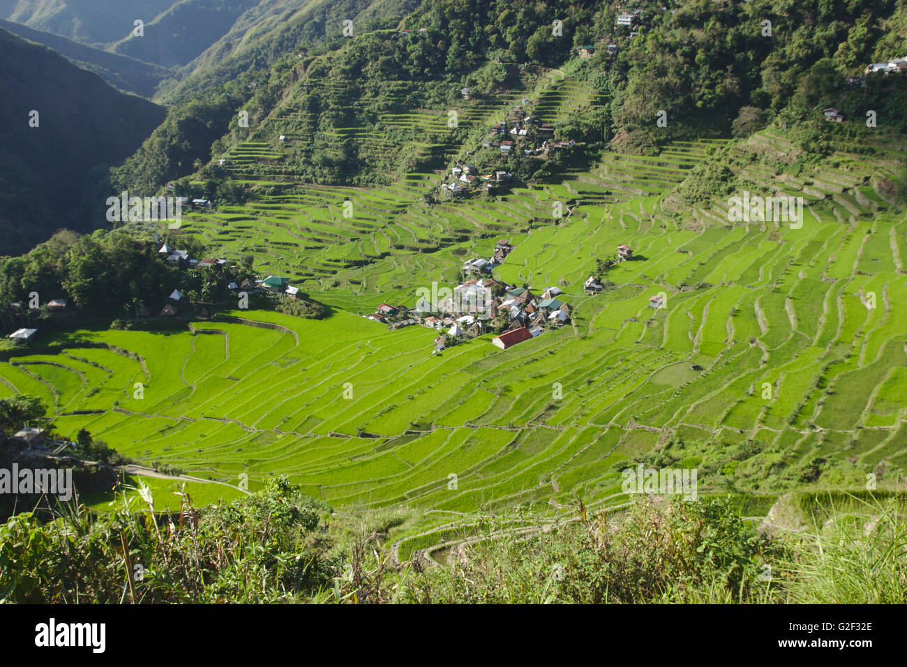 Ifugao rice terraces and the village Batad, morning light, northern ...