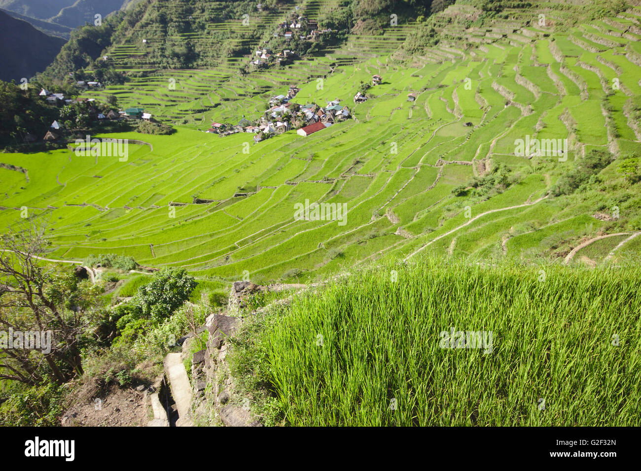 Ifugao rice terraces and the village Batad, morning light, northern ...