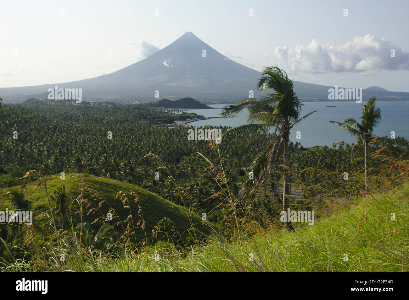 View over Golf of Albay and Legazpi to Mount Mayon in evening light ...