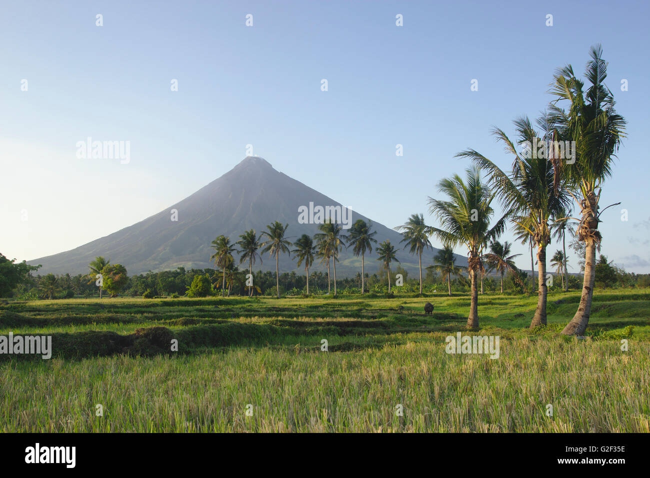 Mayon volcano hi-res stock photography and images - Alamy