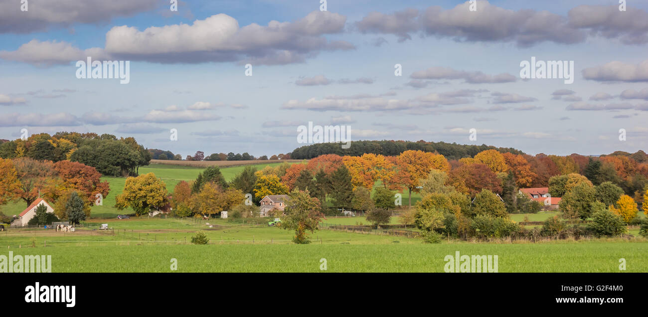 Panorama of autumn colors in Groesbeek, The Netherlands Stock Photo - Alamy