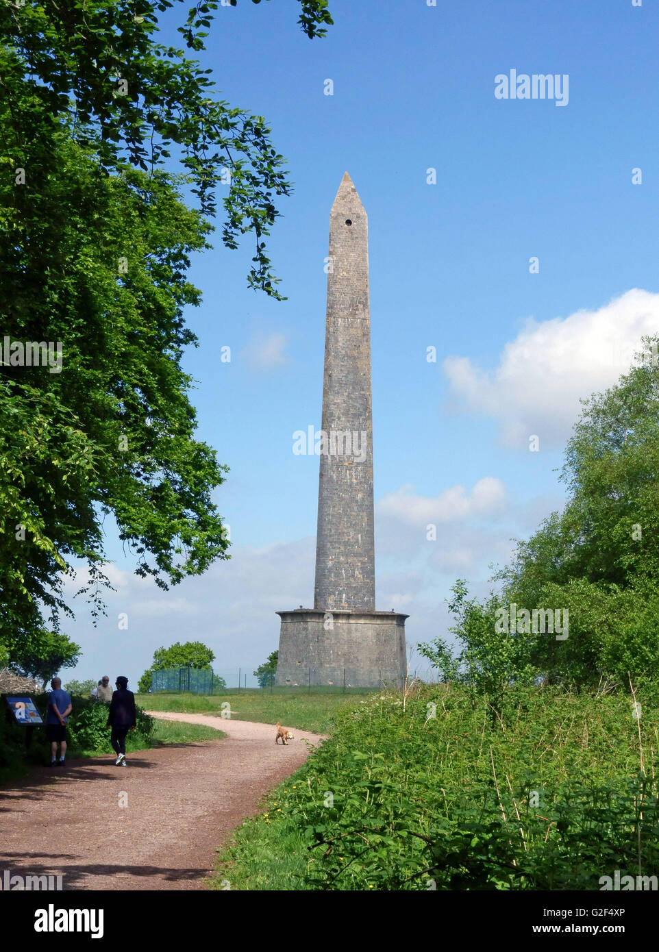 Duke of Wellington Monument, Blackdown Hills, Somerset, England Stock ...
