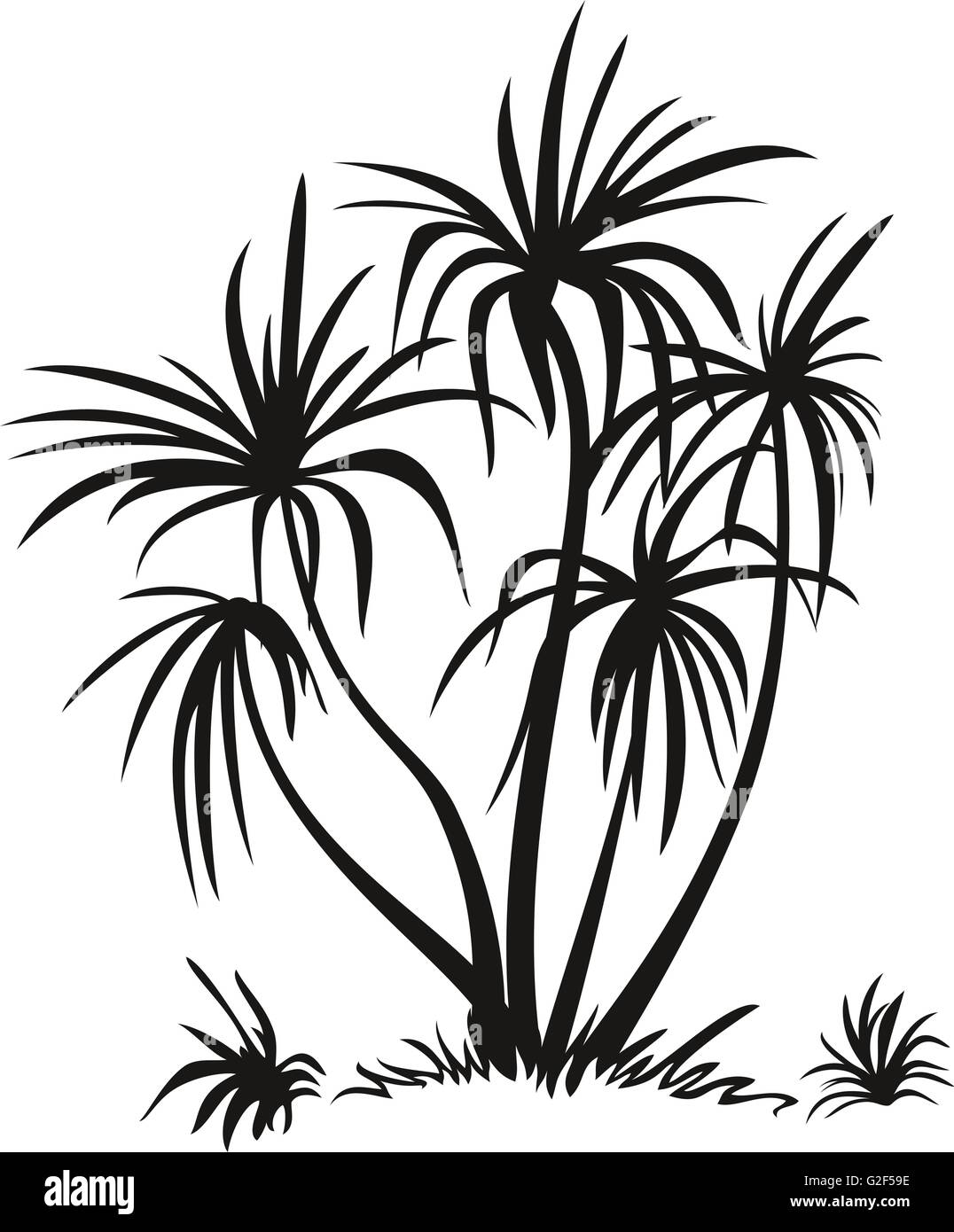 Palm trees tattoo Cut Out Stock Images & Pictures - Alamy