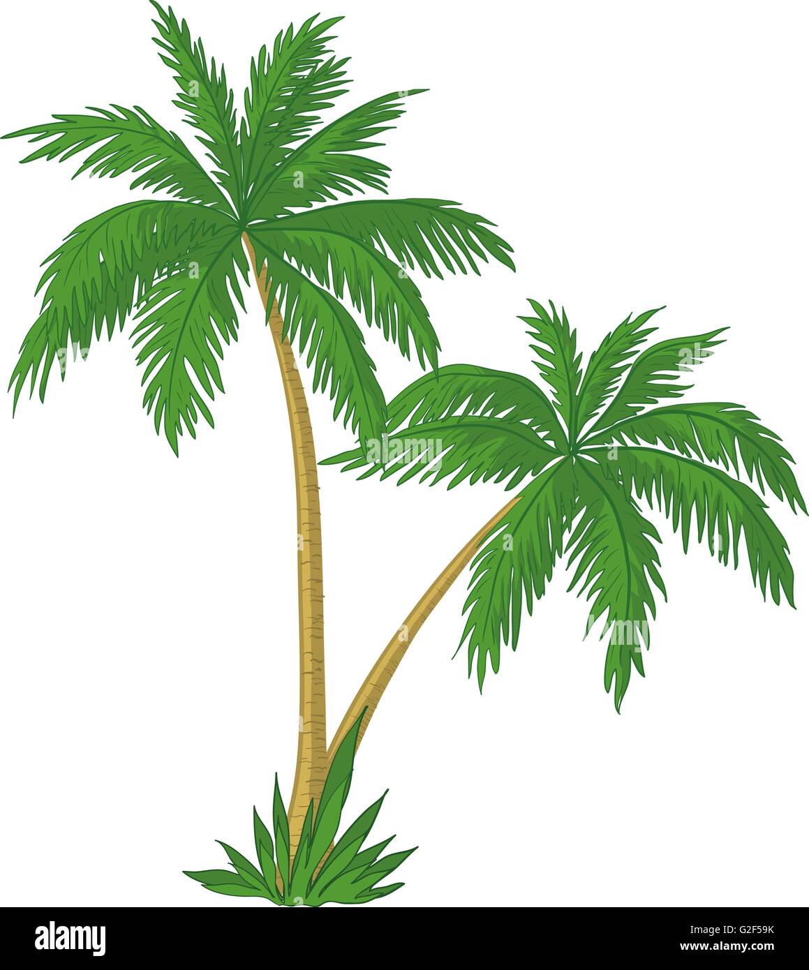 Egypt palm trees Stock Vector Images - Alamy