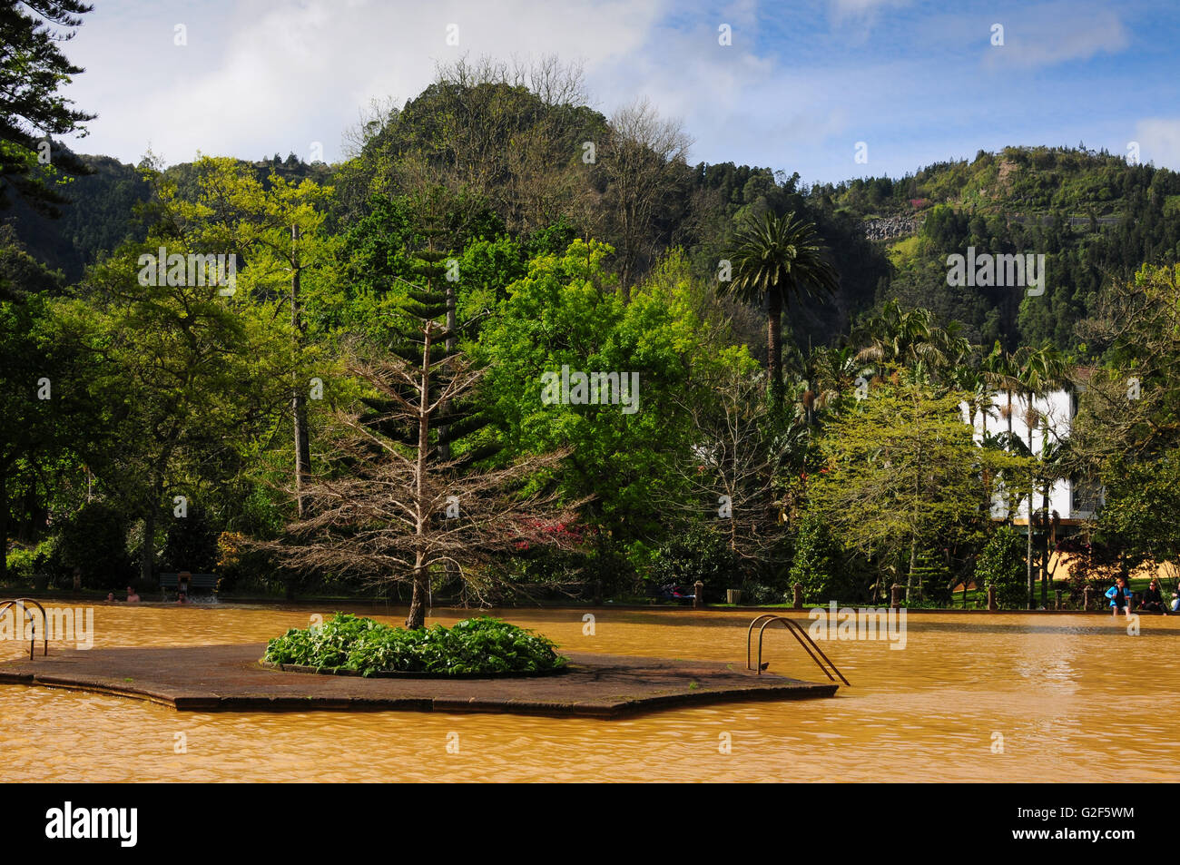 Terra Nostra Park Furnas thermal springs Azores Stock Photo - Alamy