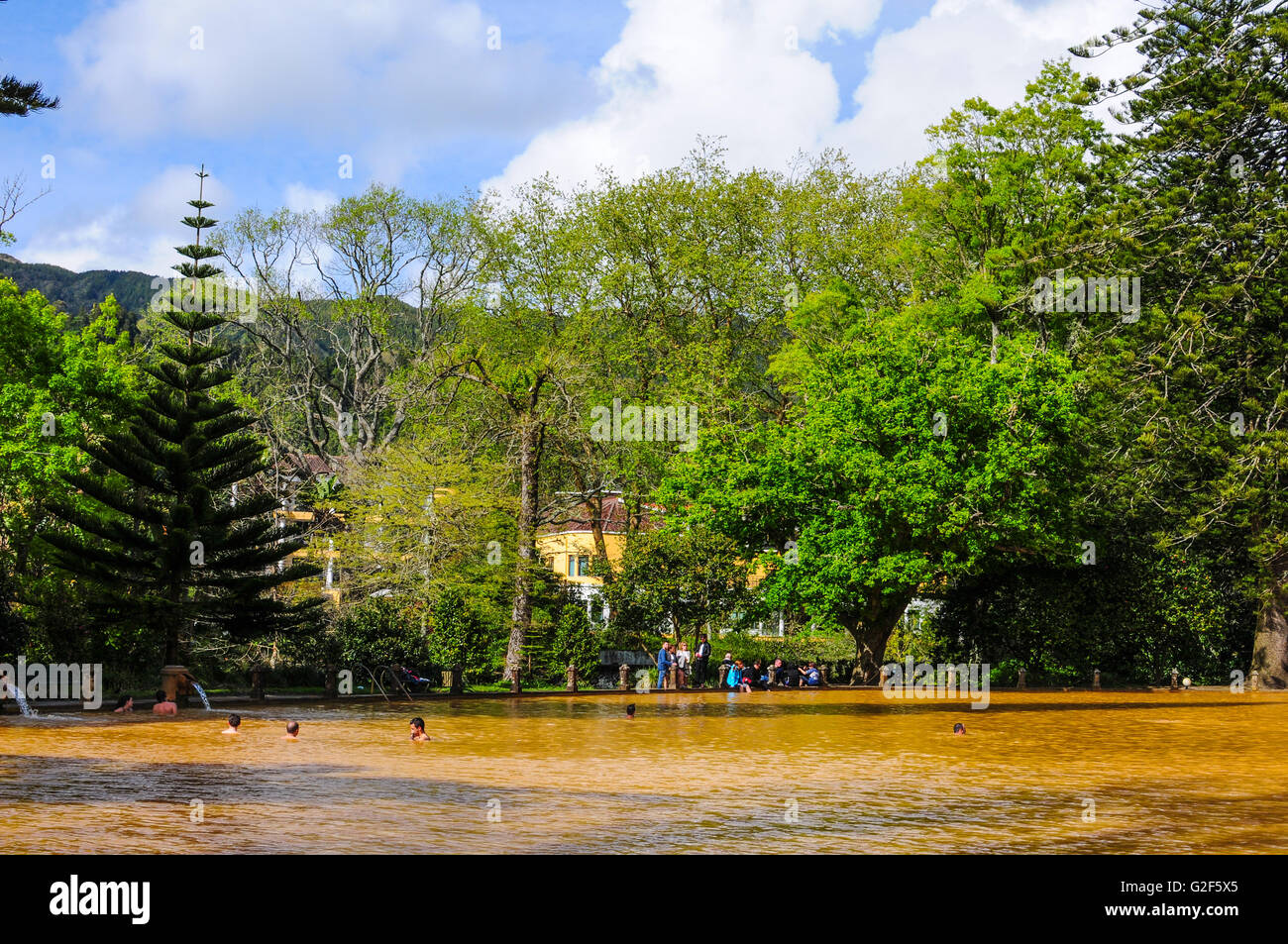 Terra Nostra Park Furnas thermal springs Azores Stock Photo - Alamy