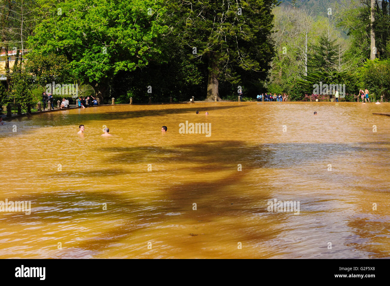 Terra Nostra Park Furnas thermal springs Azores Stock Photo - Alamy