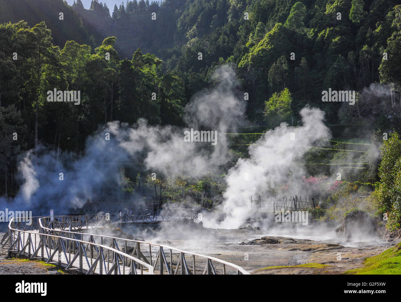 Hot springs Furnas Azores Portugal Stock Photo - Alamy