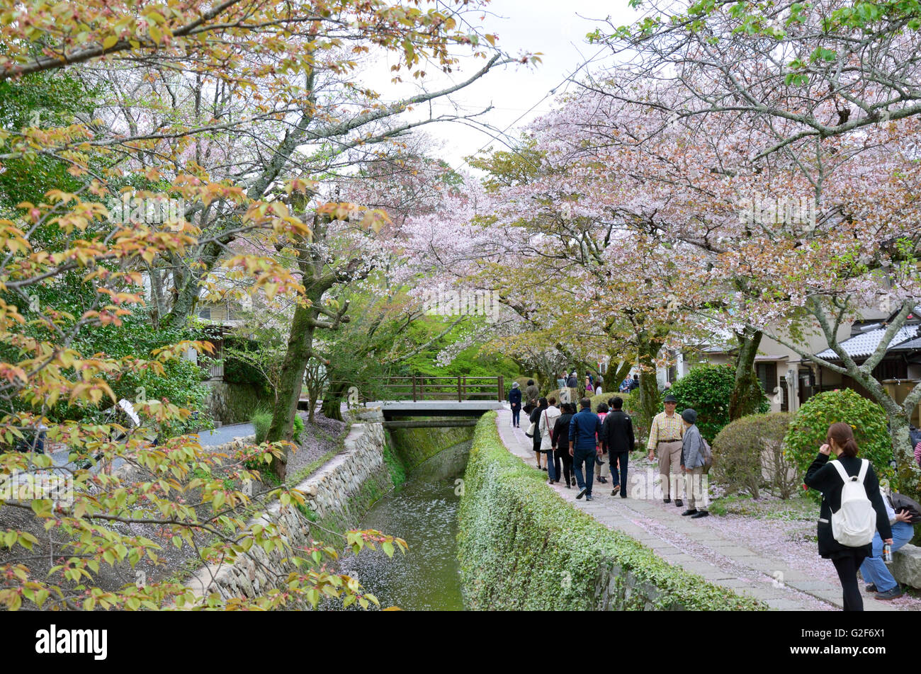 Philosophers path or tetsugaku no michi hi-res stock photography and ...