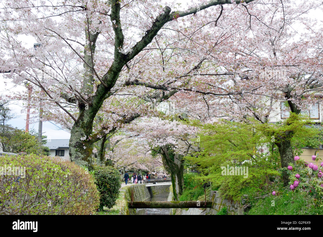 Philosophers path tetsugaku no hi-res stock photography and images - Alamy