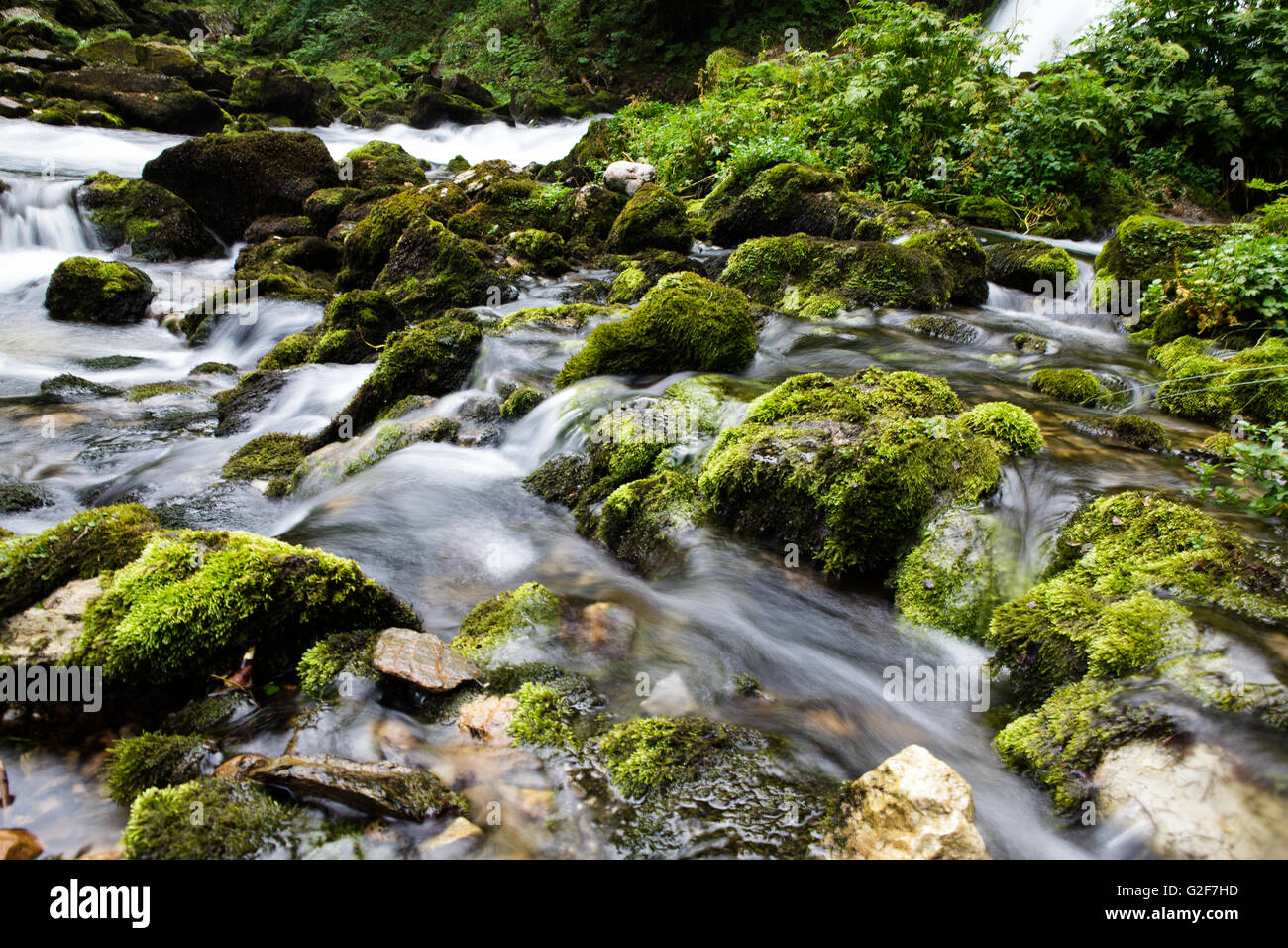 fresh water flowing in a small clear alpine mountain creek Stock Photo ...