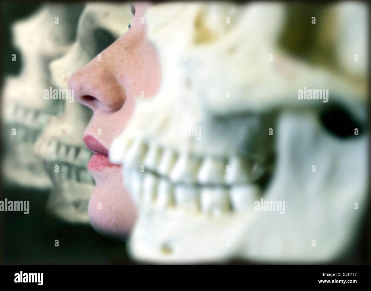 Female Human Remains High Resolution Stock Photography and Images - Alamy