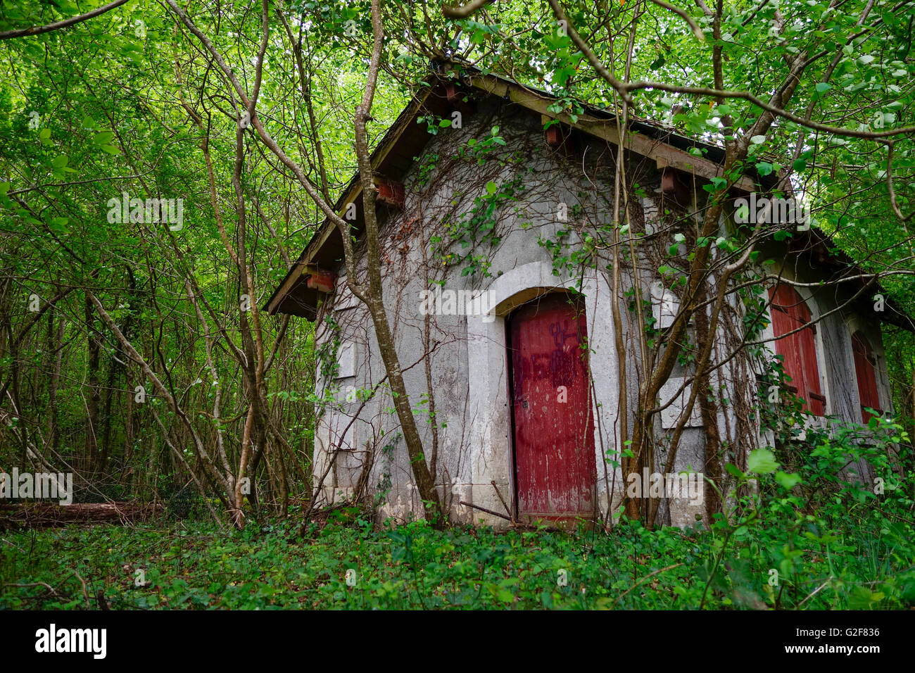 Small stone building in dense forest, France Stock Photo - Alamy