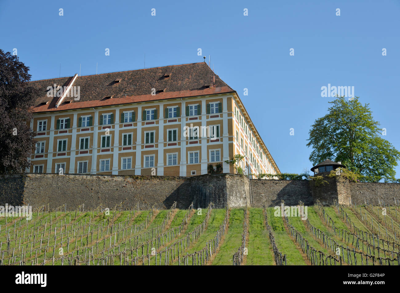 Schloss Stainz with vineyards (Schilcher), Styria, Austria Stock Photo ...