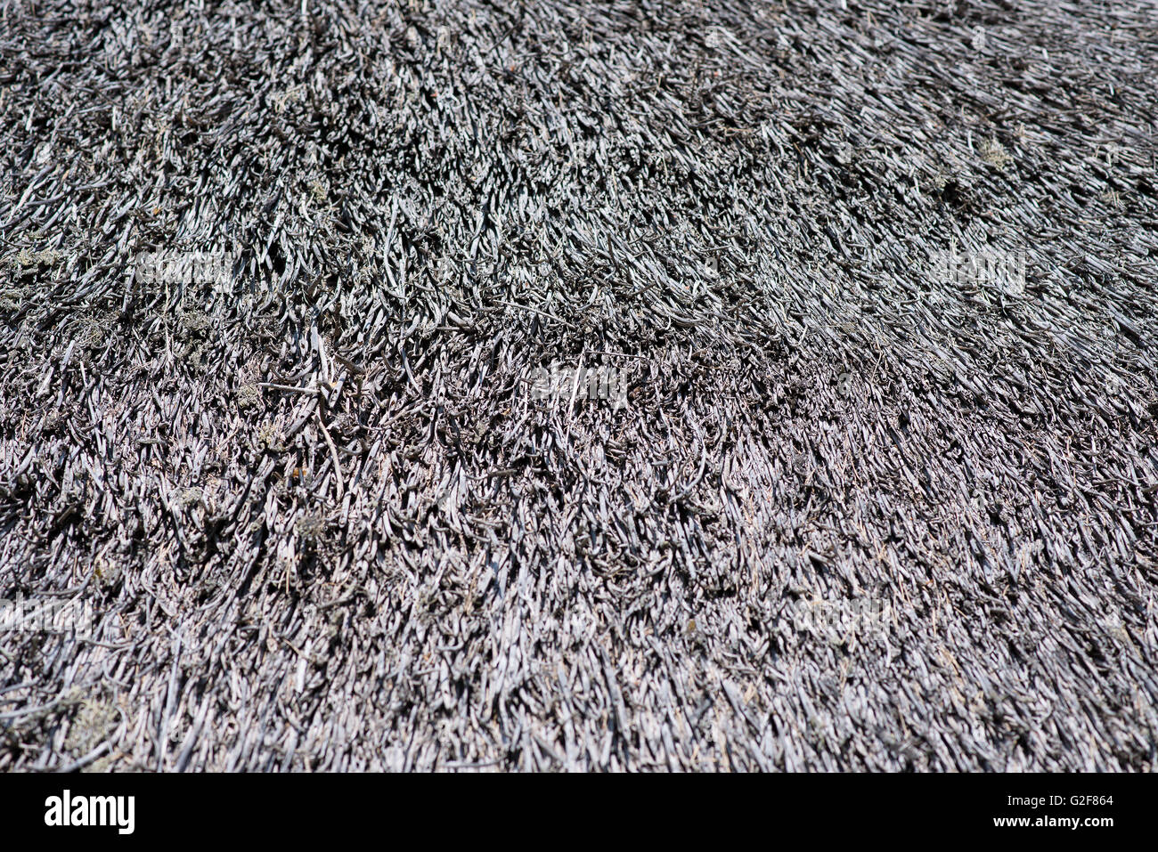 Thatched roof top texture. Suitable for background Stock Photo - Alamy
