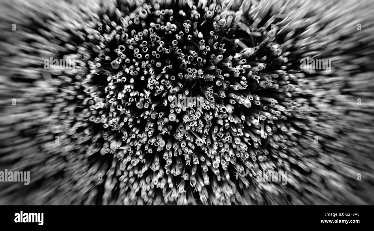 Tube effect Black and White Stock Photos & Images - Alamy