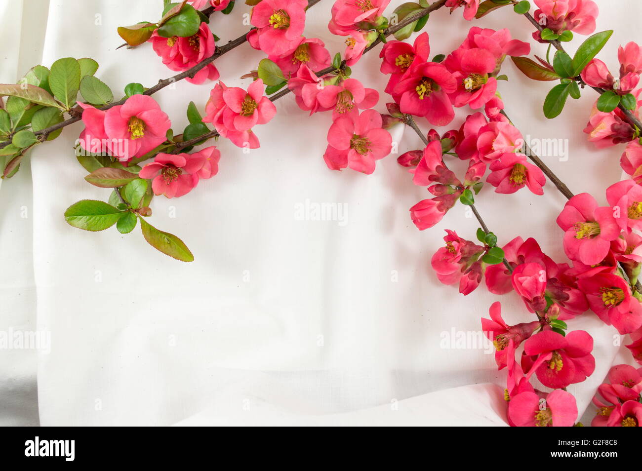 Japanese rose flowers on white silk fabric Stock Photo - Alamy