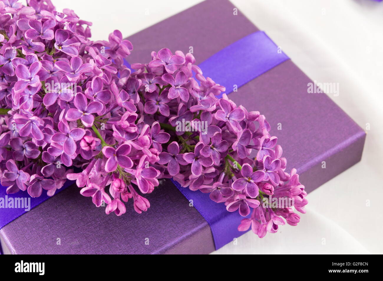 Purple lilac flowers on a purple present box Stock Photo - Alamy
