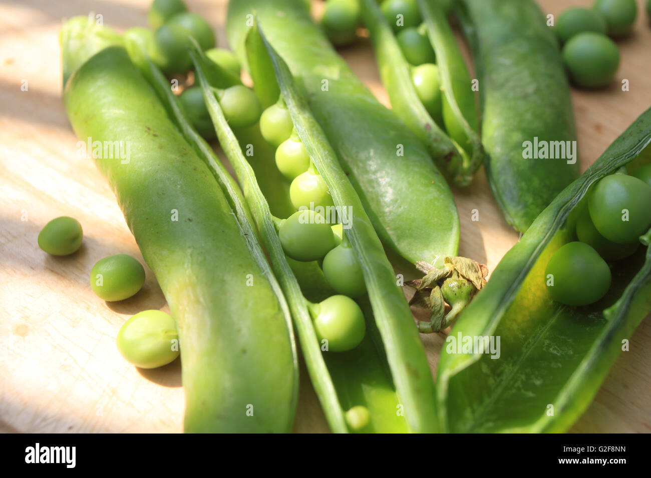 Peas in pods, being prepared for cooking, in England, UK Stock Photo ...