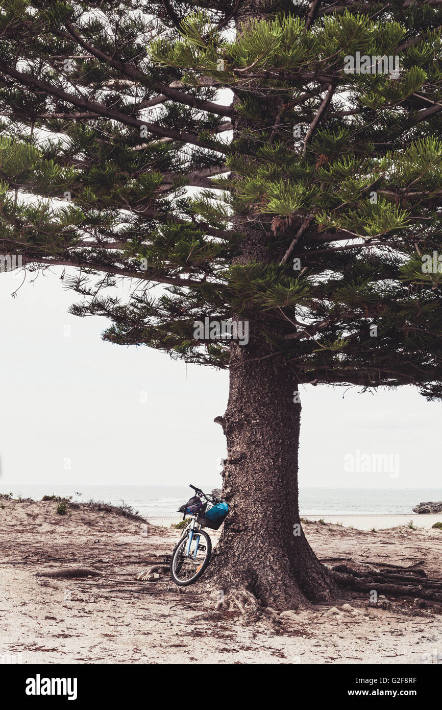 Bike leaning against tree hi-res stock photography and images - Alamy